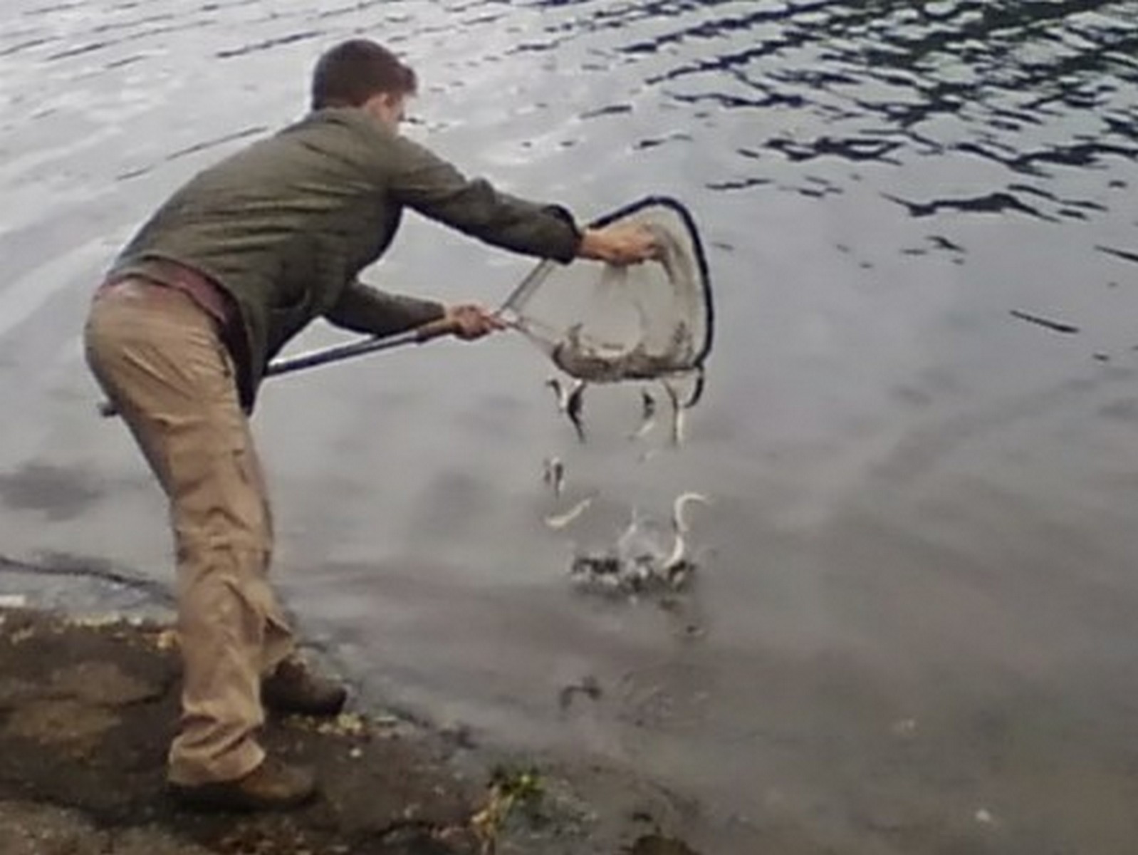 z 2019 Tiger Muskie Stocking Photos - USMA-West Point - iSportsman