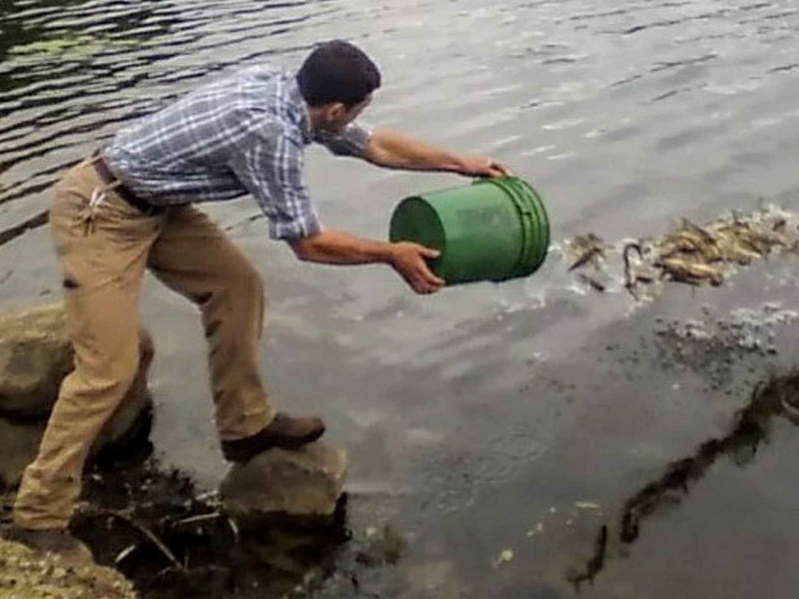 z 2019 Tiger Muskie Stocking Photos - USMA-West Point - iSportsman