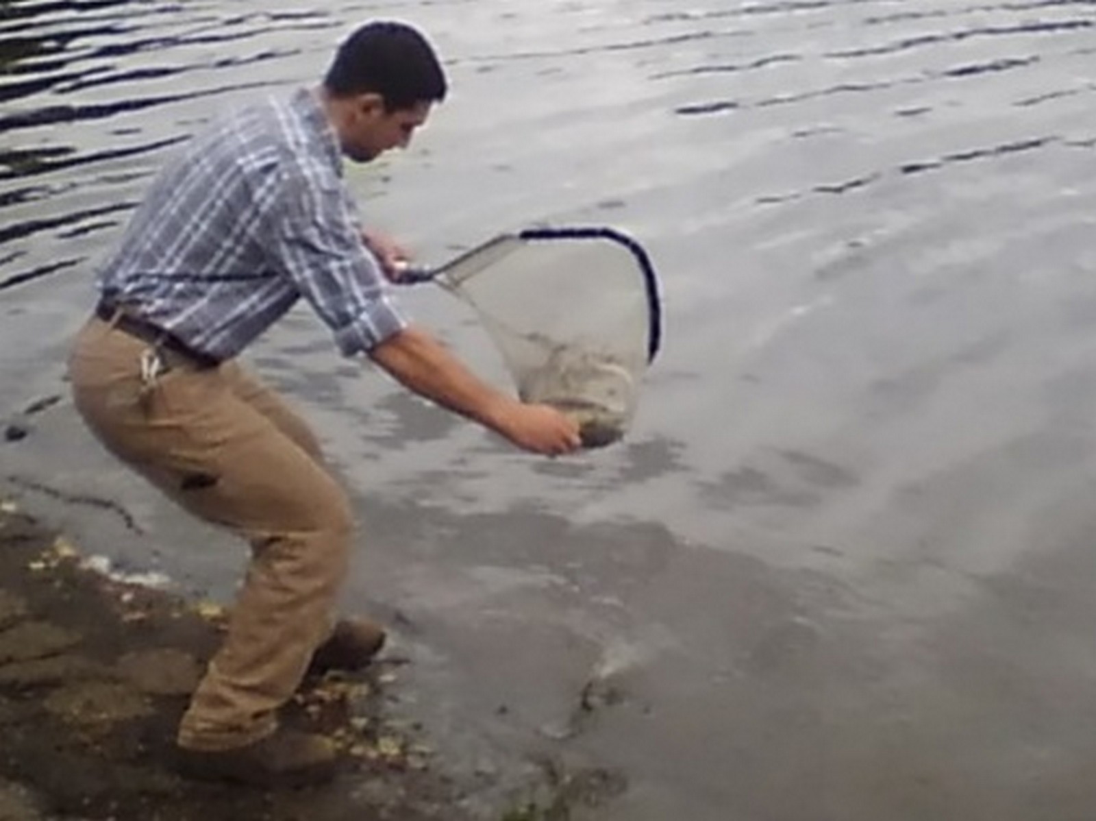 z 2019 Tiger Muskie Stocking Photos - USMA-West Point - iSportsman