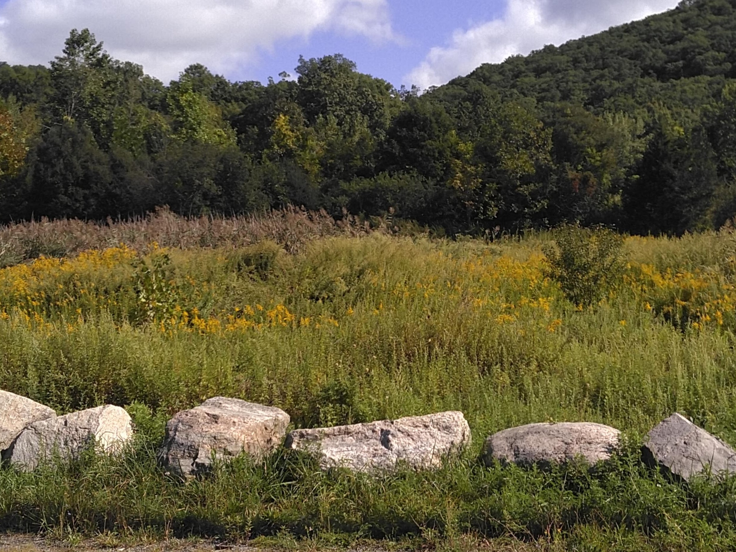 z Photos Pheasant Stocking Sites - USMA-West Point - iSportsman