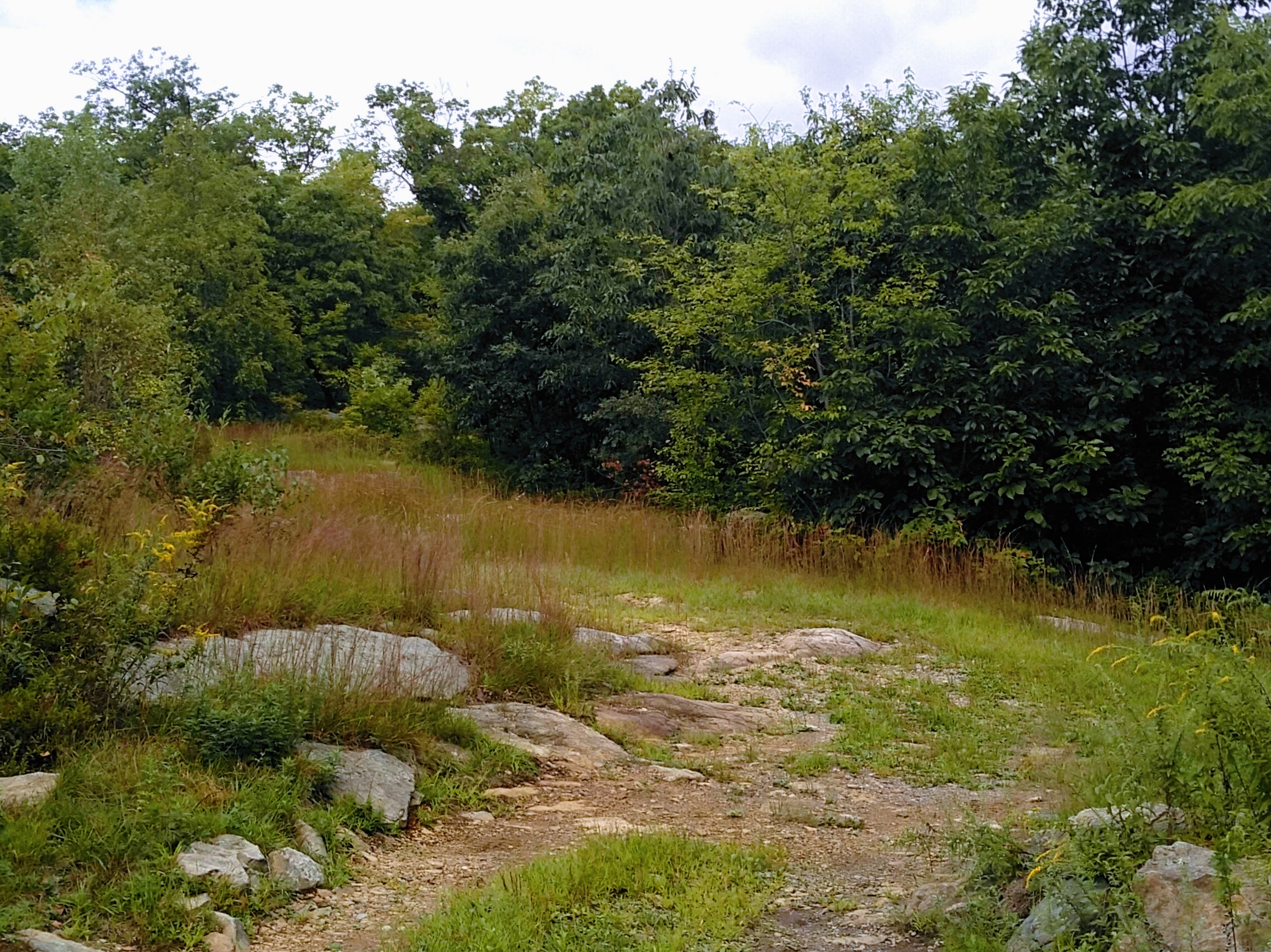 z Photos Pheasant Stocking Sites - USMA-West Point - iSportsman